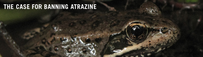 Map: Agricultural Atrazine Use