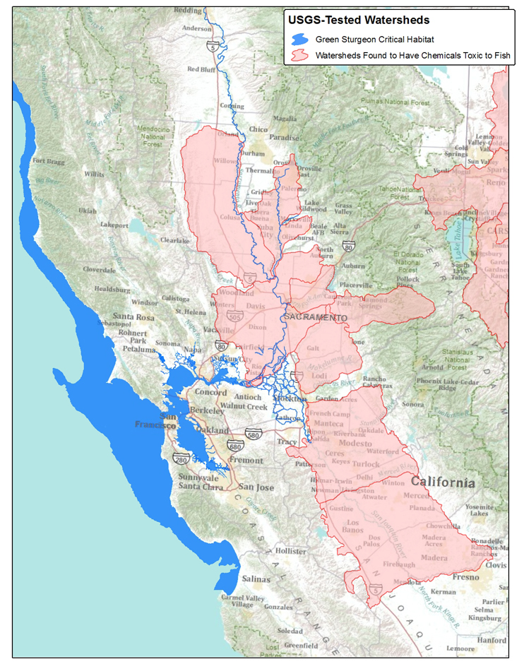 Green Sturgeon Habitat Affected by Pesticides and Herbicides