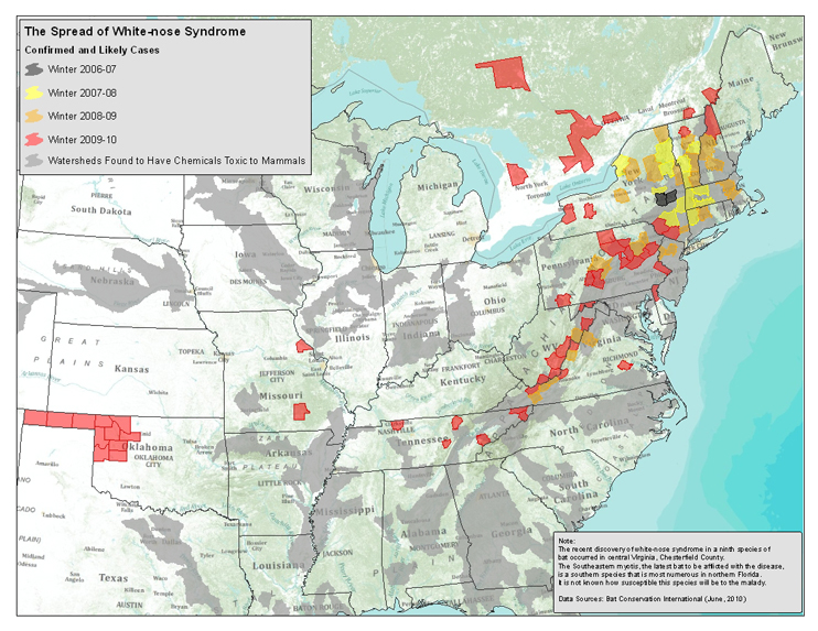 Imperiled Bat Habitat Affected by Pesticides and Herbicides